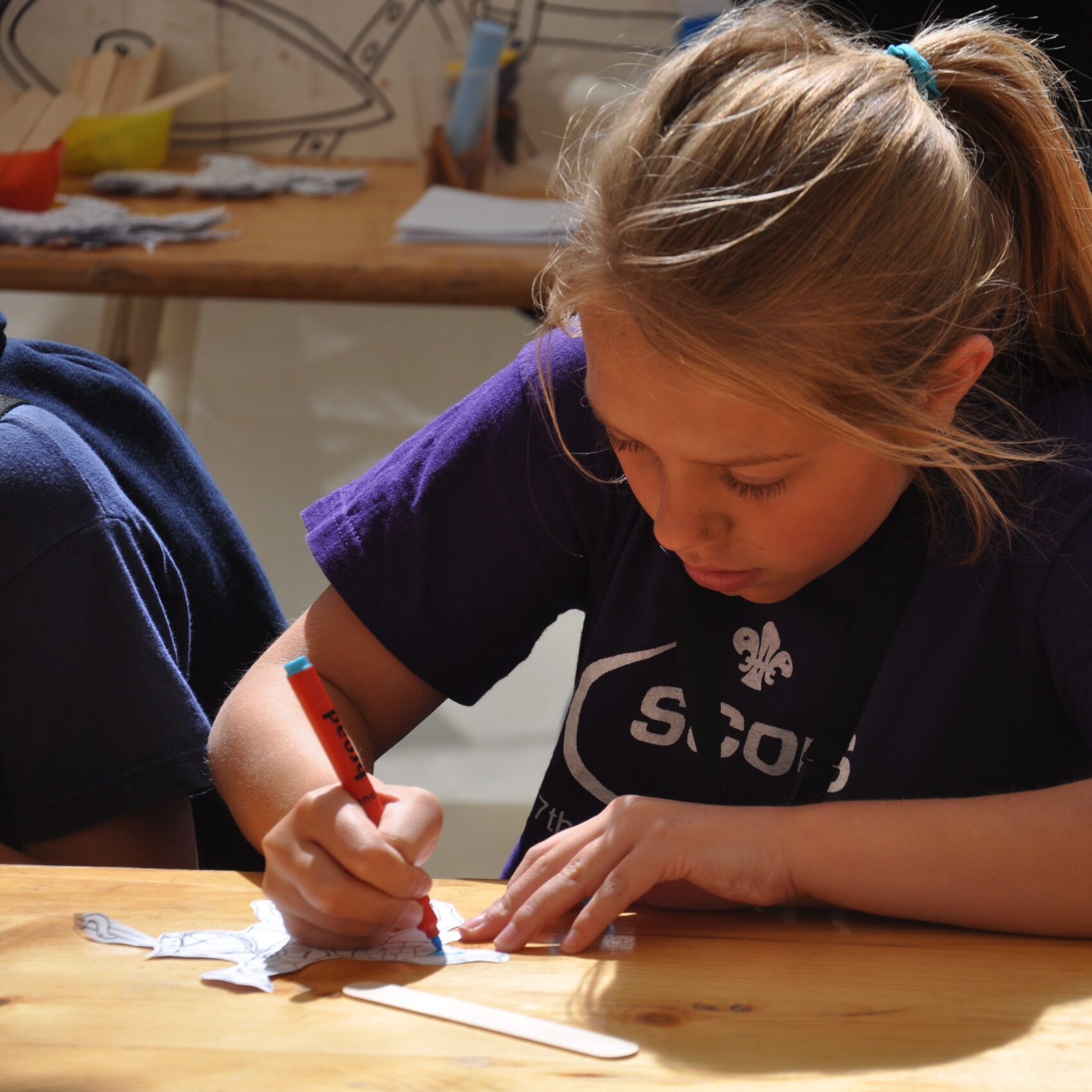 Norjam – Activities