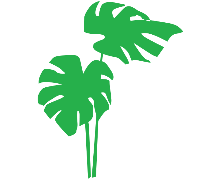 Rio De Janeiro Subcamp – Norjam 2025